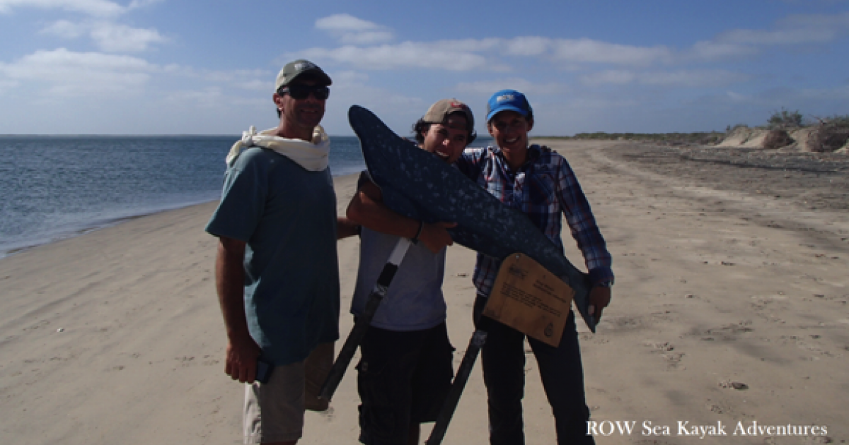 Living at the Magdalena Bay Whale Camp | Sea Kayak Adventures