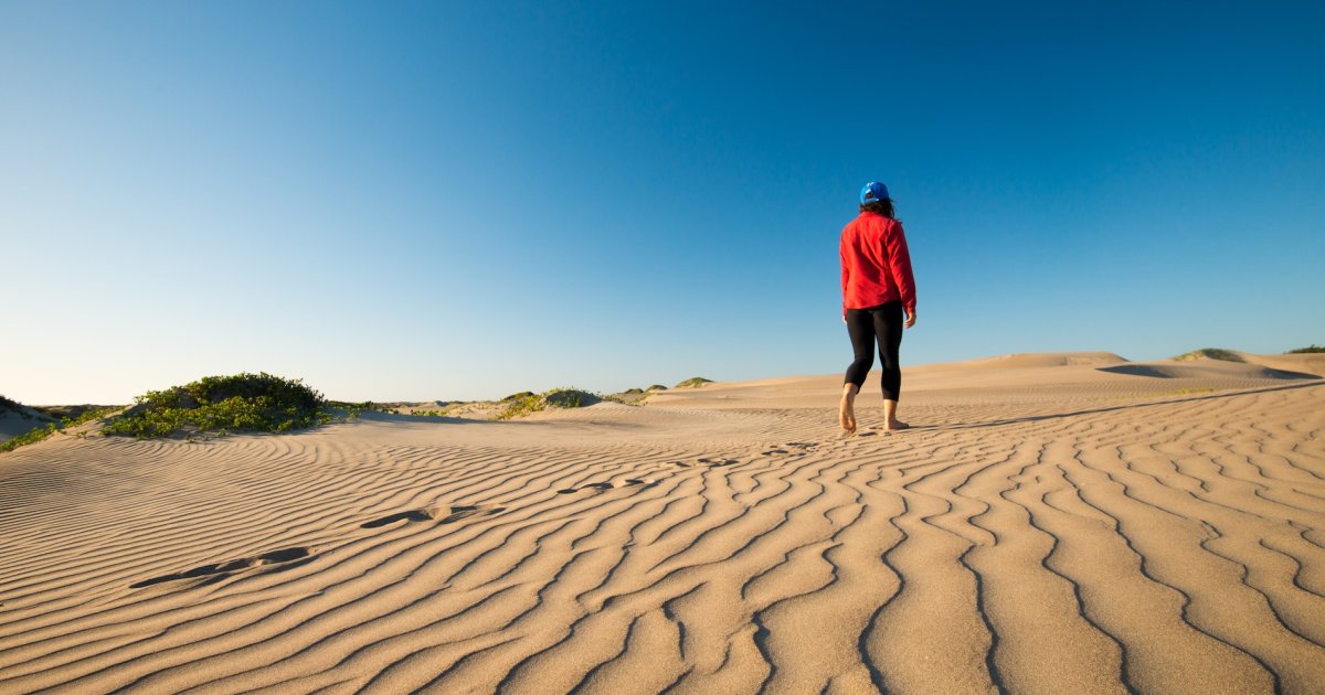 Unexpected Highlights from a Baja Sea Kayaking Expedition | Sea Kayak ...