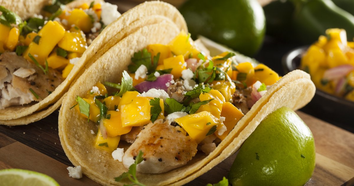 BAJA: Food For Thought | Sea Kayak Adventures
