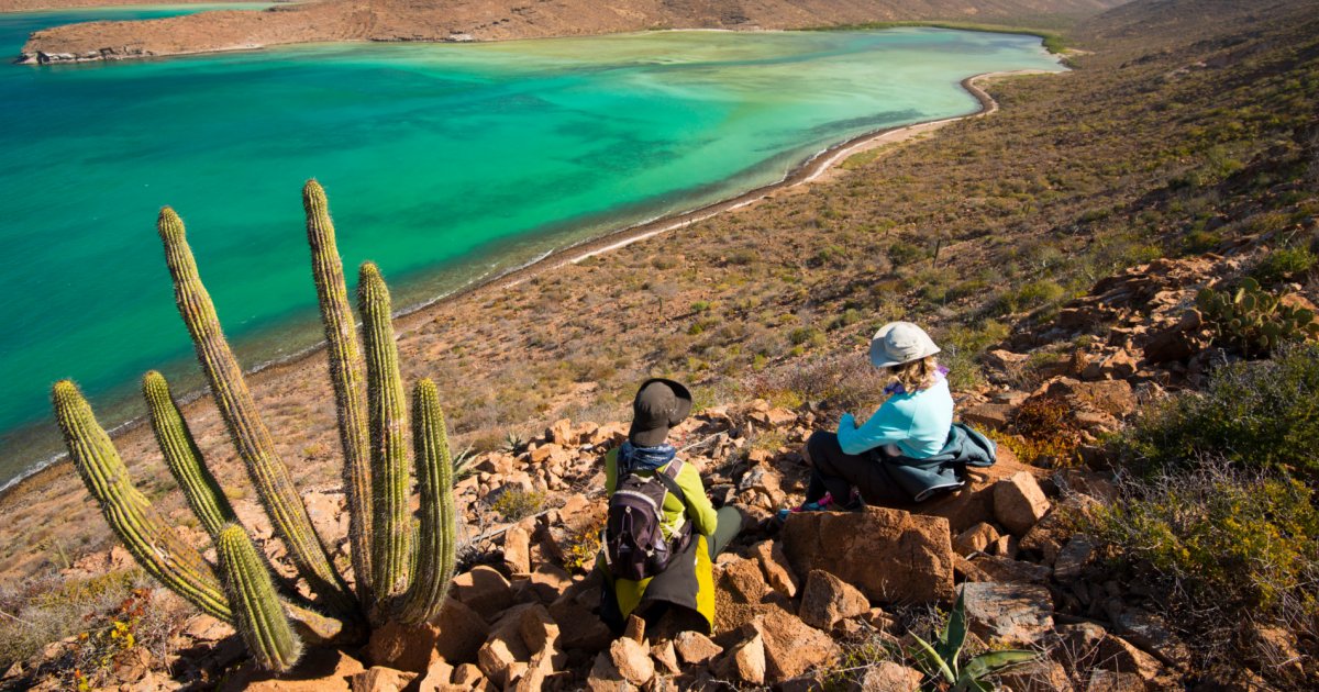 Unbeatable Baja | Sea Kayak Adventures